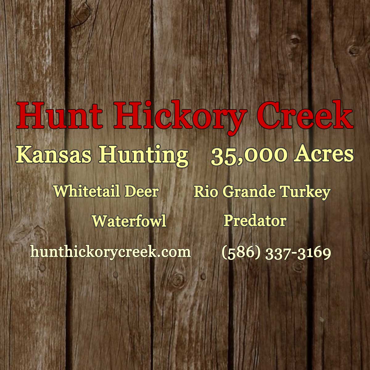Kansas Predator Hunting - Coyote Hunting, Bobcat Hunting | Hunt Hickory ...